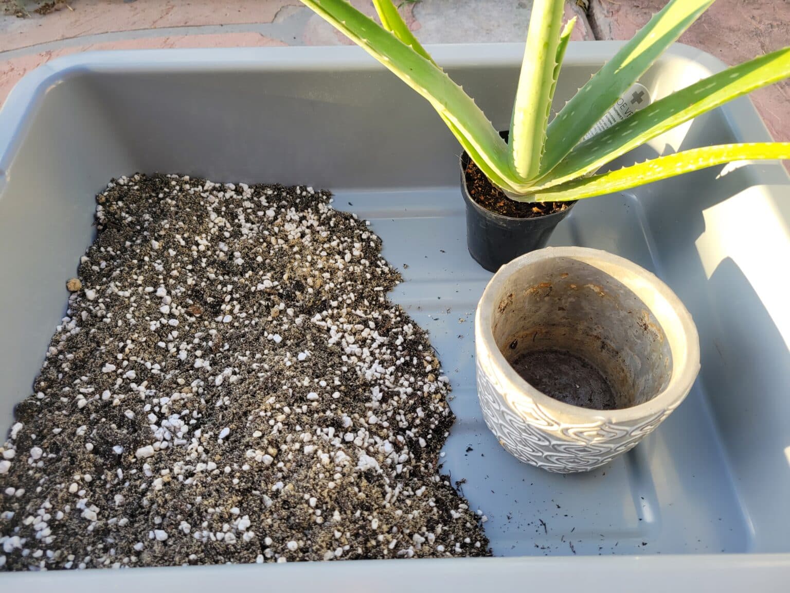 DIY Succulent Soil: Step-by-Step Guide (With Pictures)