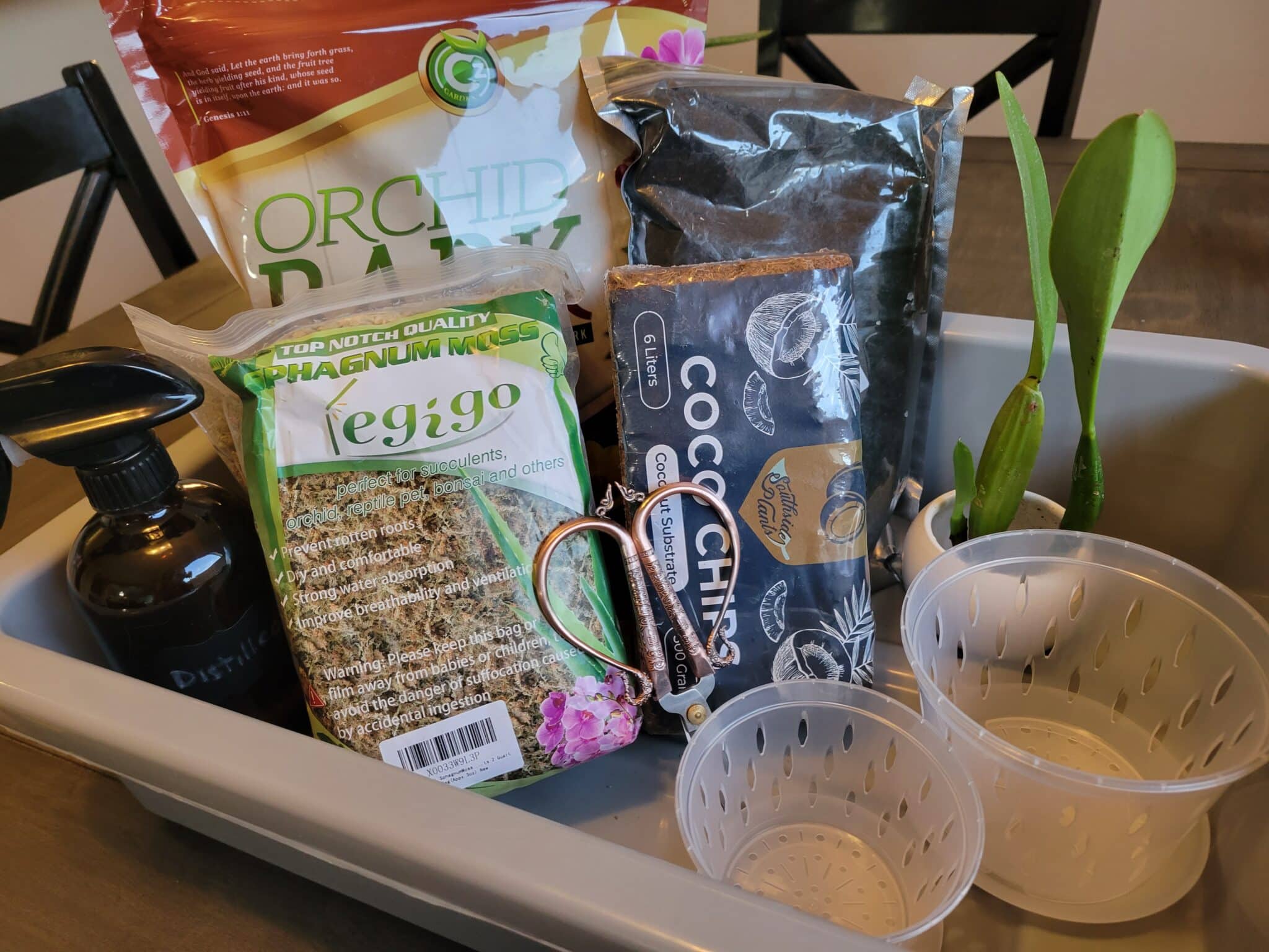 DIY Orchid Potting Mix Recipe: Step-by-Step Guide | Just Houseplants