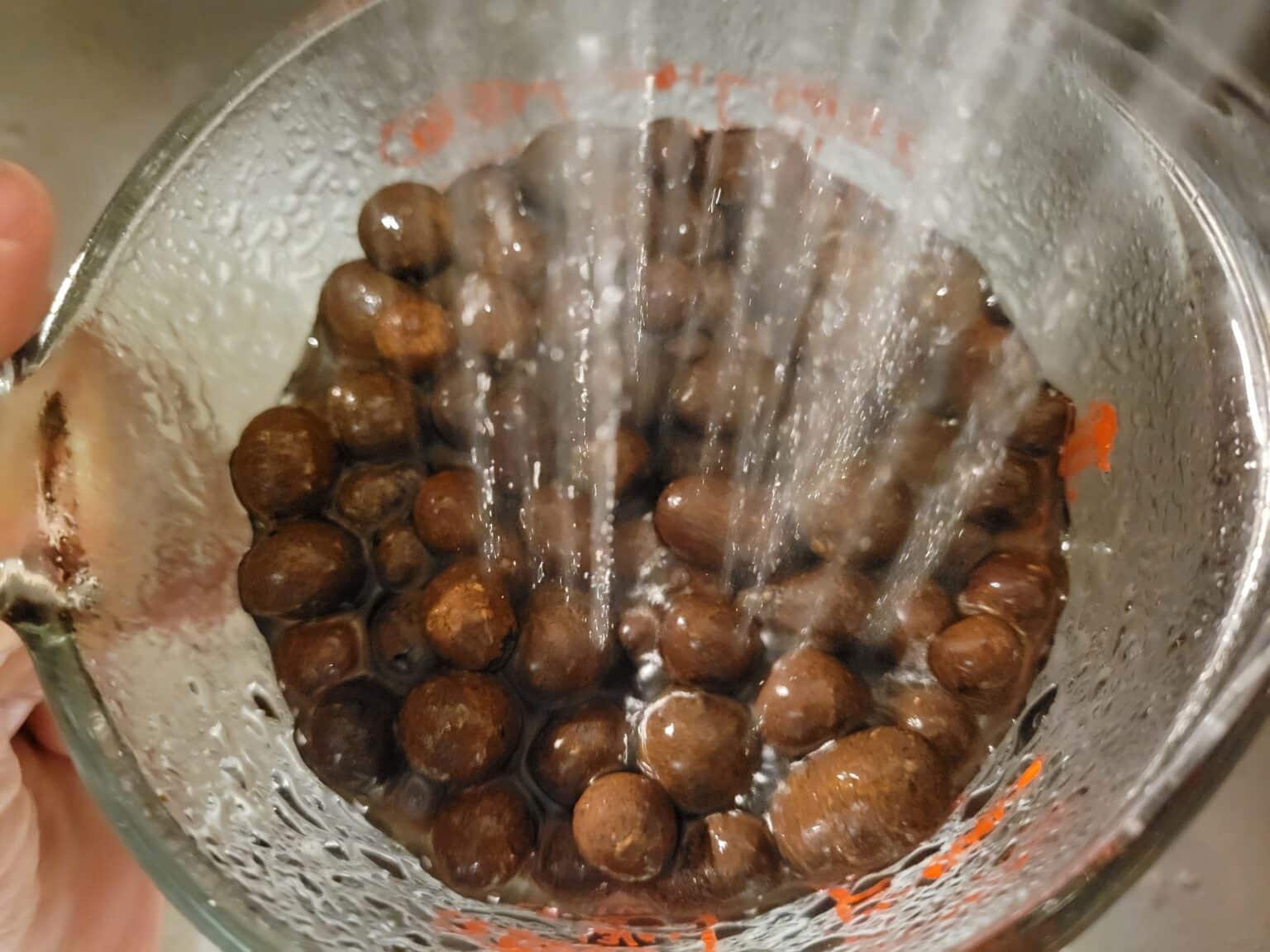 How to Use Clay Pebbles for Houseplants | Just Houseplants