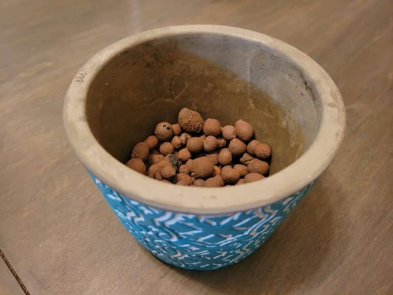 How to Use Clay Pebbles for Houseplants | Just Houseplants